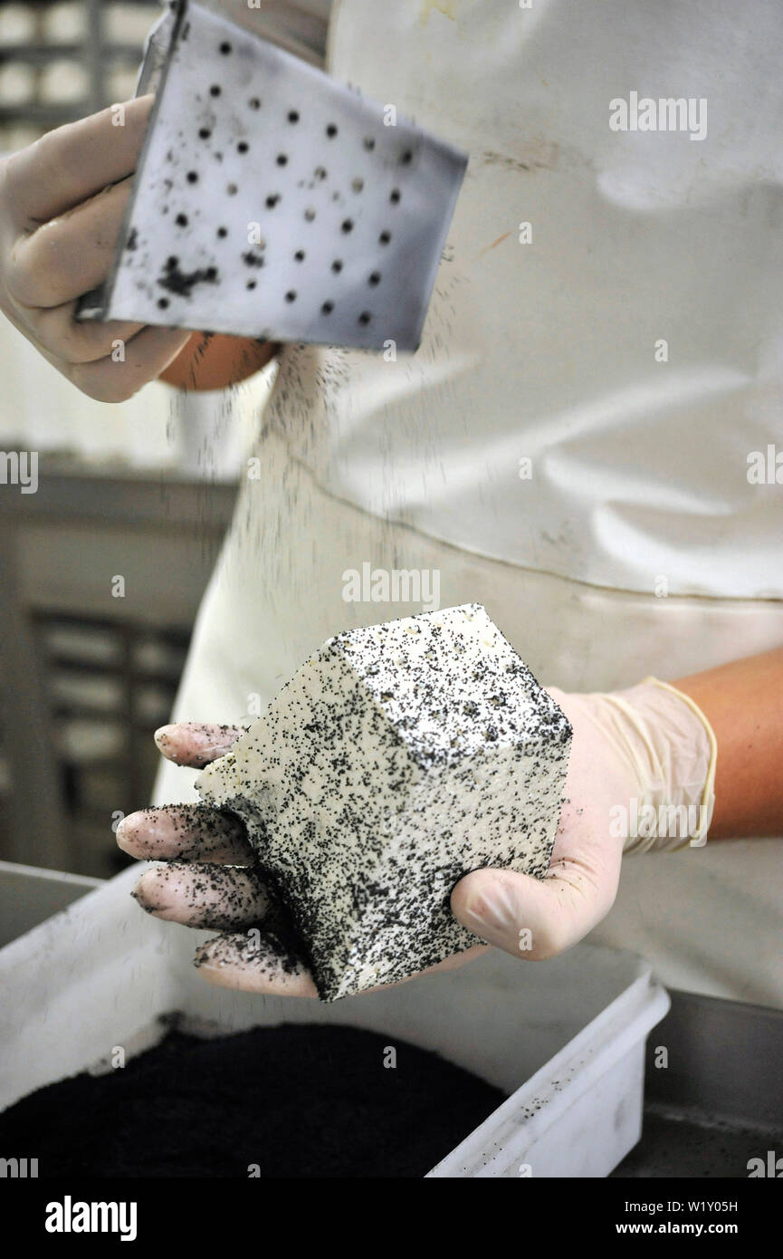 Chatillon-sur-Cher (central France): goat's cheese making at the ...