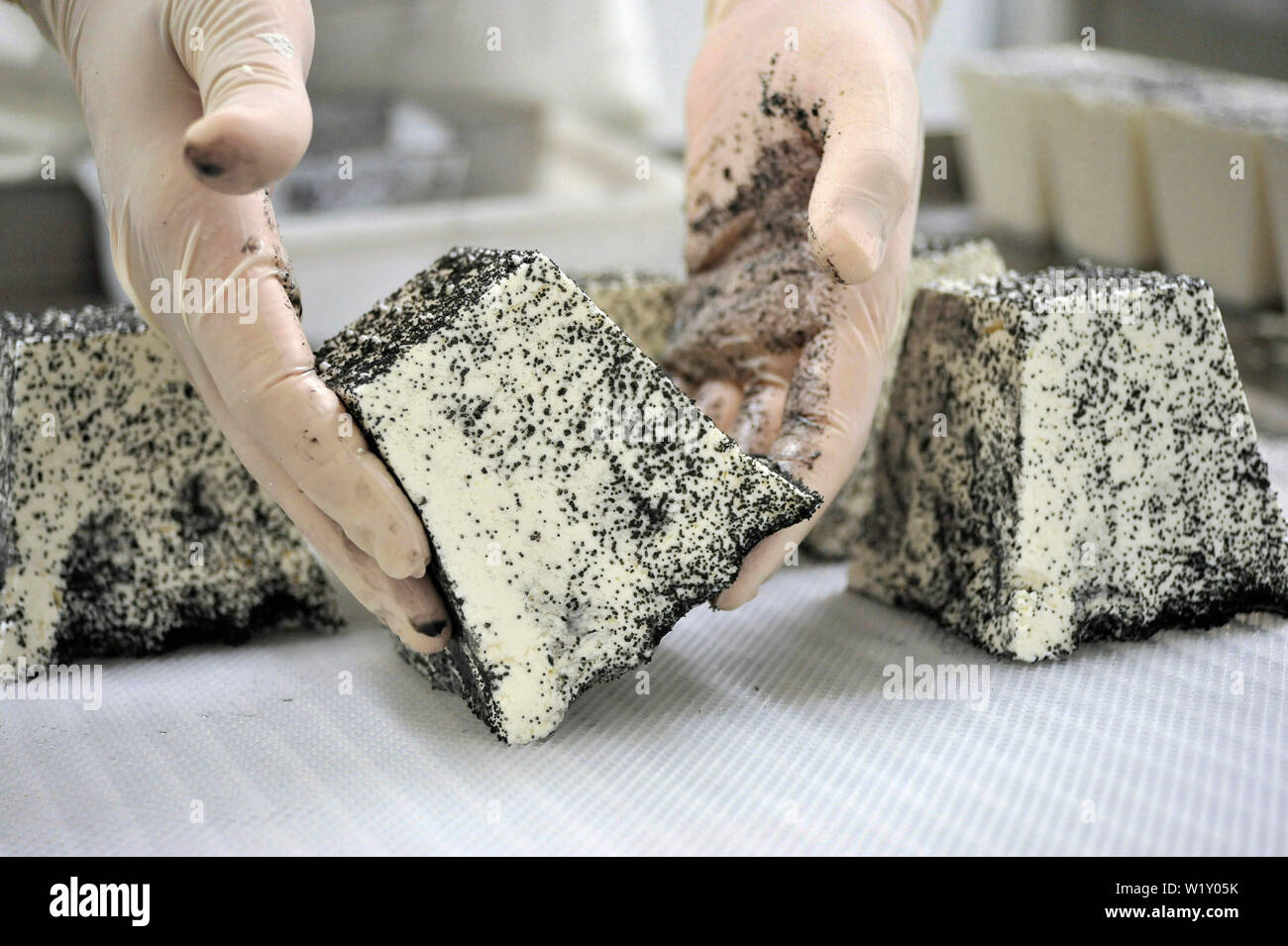 Chatillon-sur-Cher (central France): goat's cheese making at the ...
