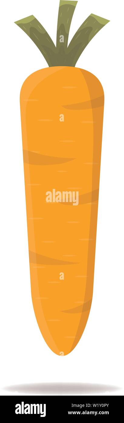 Fresh Carrot Vegetable isolated on white background. Carrot Icon for ...