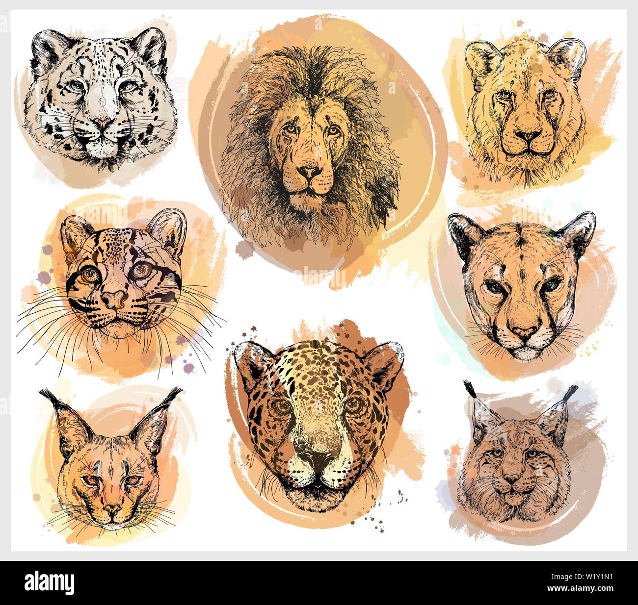 Set of hand drawn sketch style portraits of animals isolated on white ...