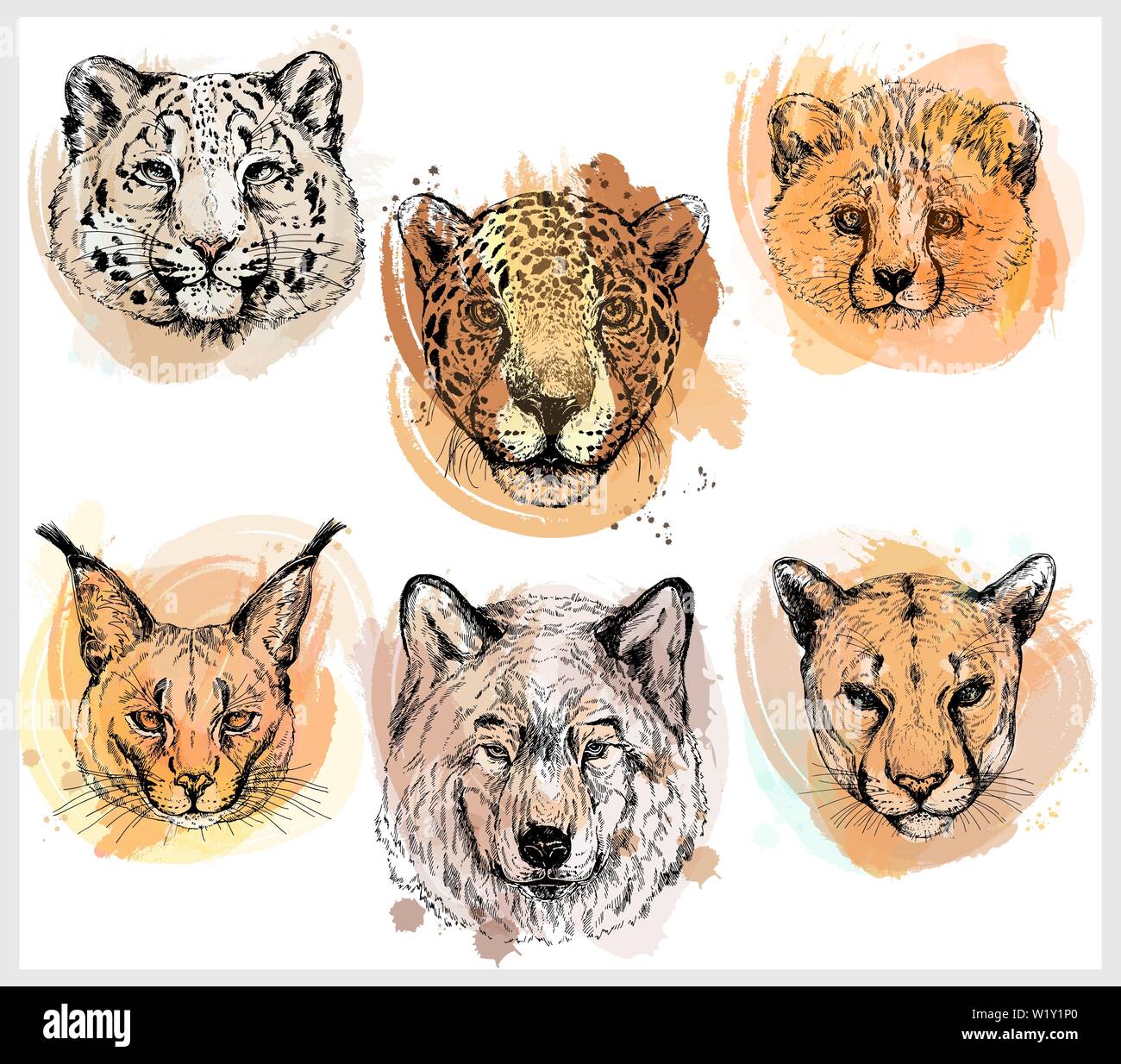 Set of hand drawn sketch style portraits of animals isolated on white ...