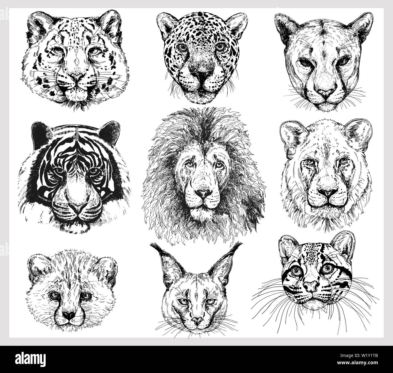 Set of hand drawn sketch style portraits of animals isolated on white ...