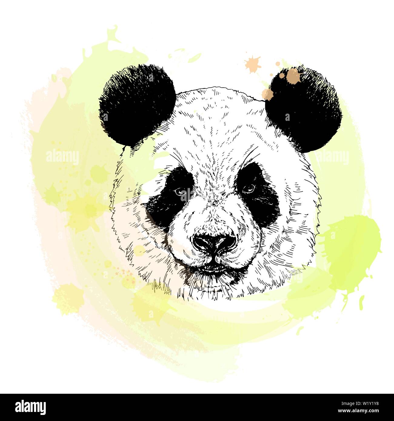 Hand drawn sketch style portrait of giant panda isolated on white ...