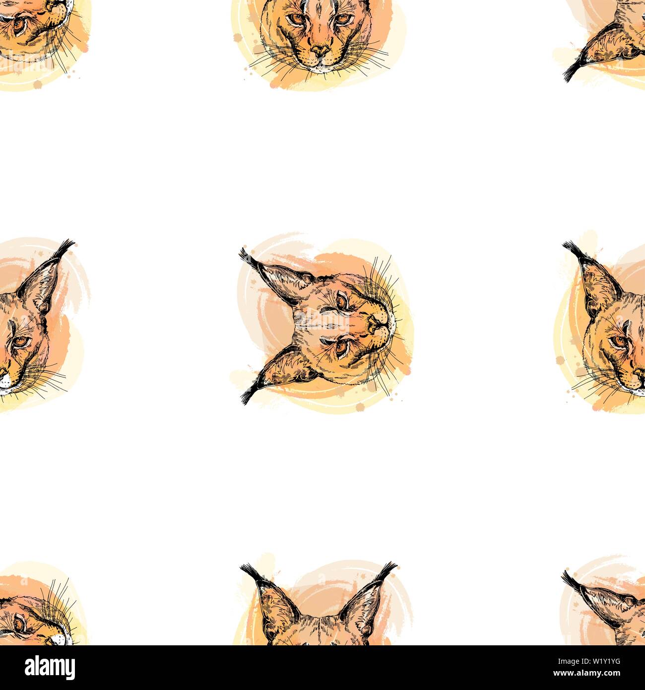 Seamless pattern of hand drawn sketch style portraits of caracal ...