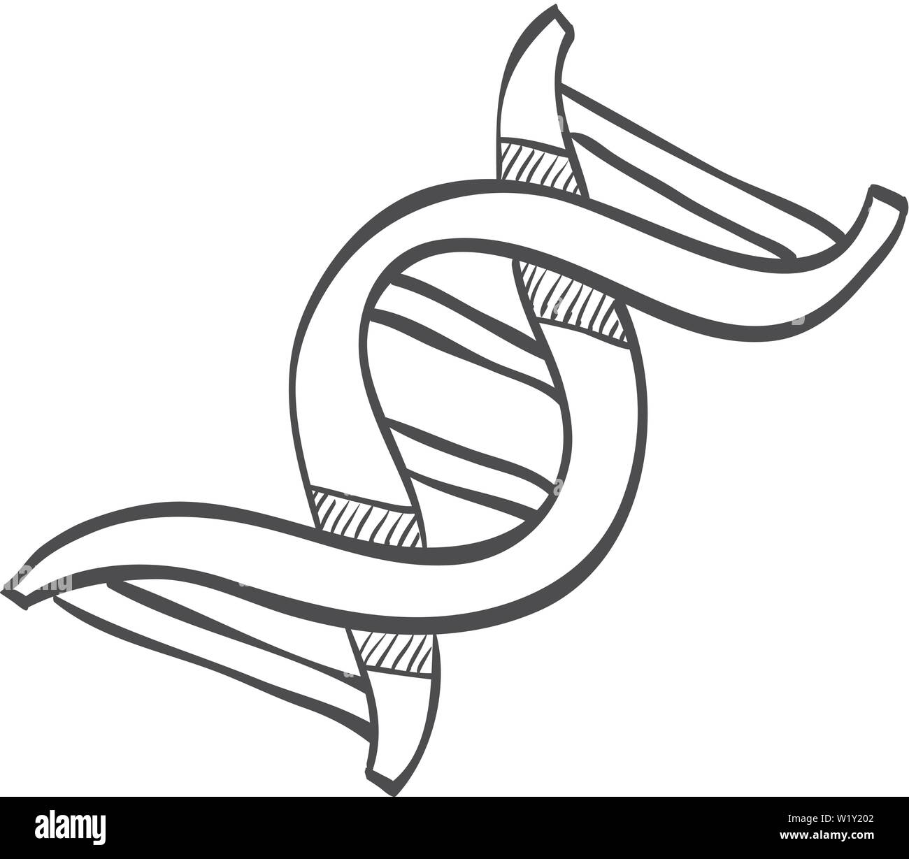 Dna Strand Drawing