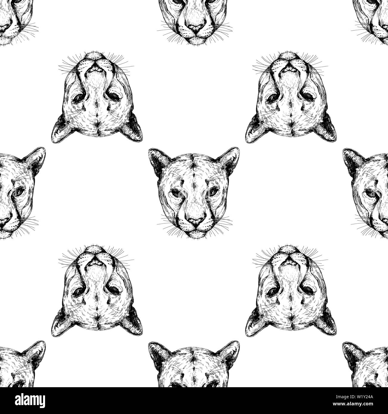 Seamless pattern of hand drawn sketch style portraits of puma isolated ...