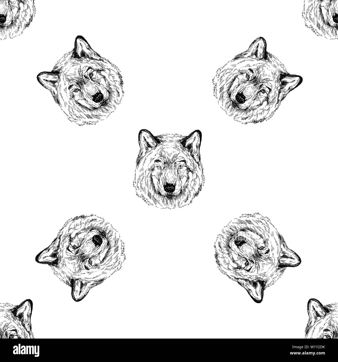 Seamless pattern of hand drawn sketch style portraits of wolf isolated ...