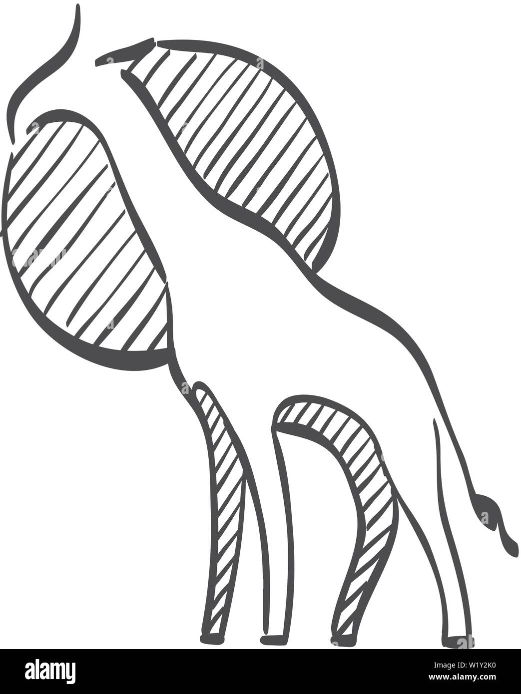 Herbivore Animals Drawing