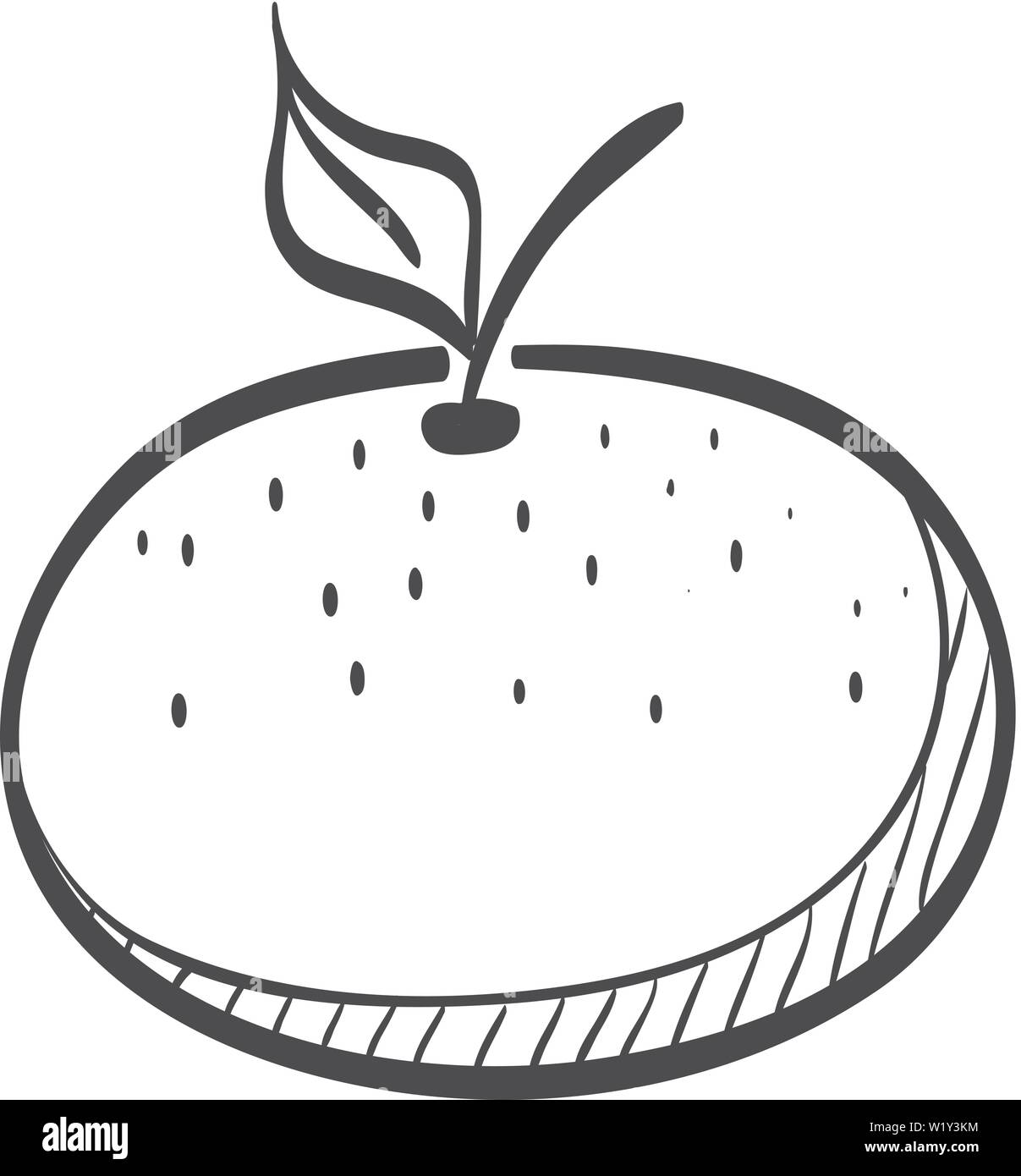 Orange icon in doodle sketch lines. Food fruit vitamin healthy diet ...