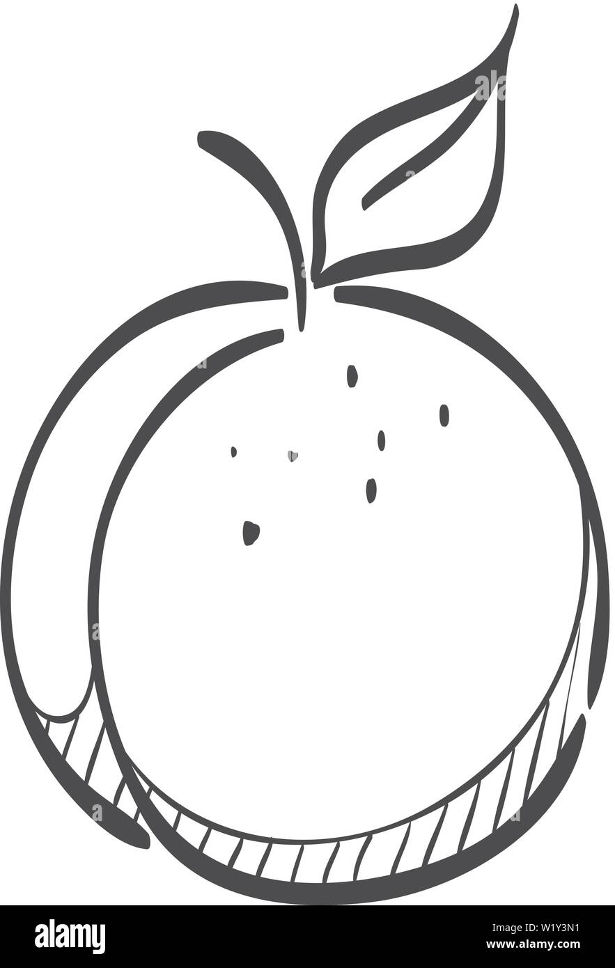 Peach icon in doodle sketch lines. Food fruit vitamin healthy diet ...