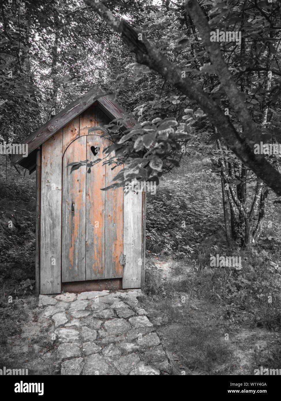Wooden ecological composting toilet on countryside with a heart shape ...