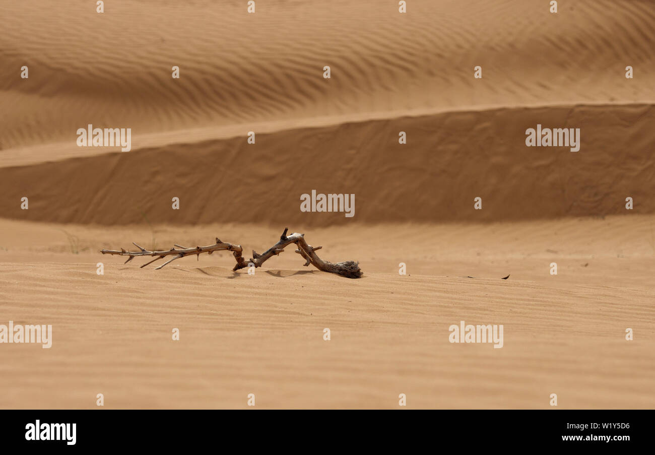 Beautiful structure of dense yellow sand, dunes of the desert Stock ...