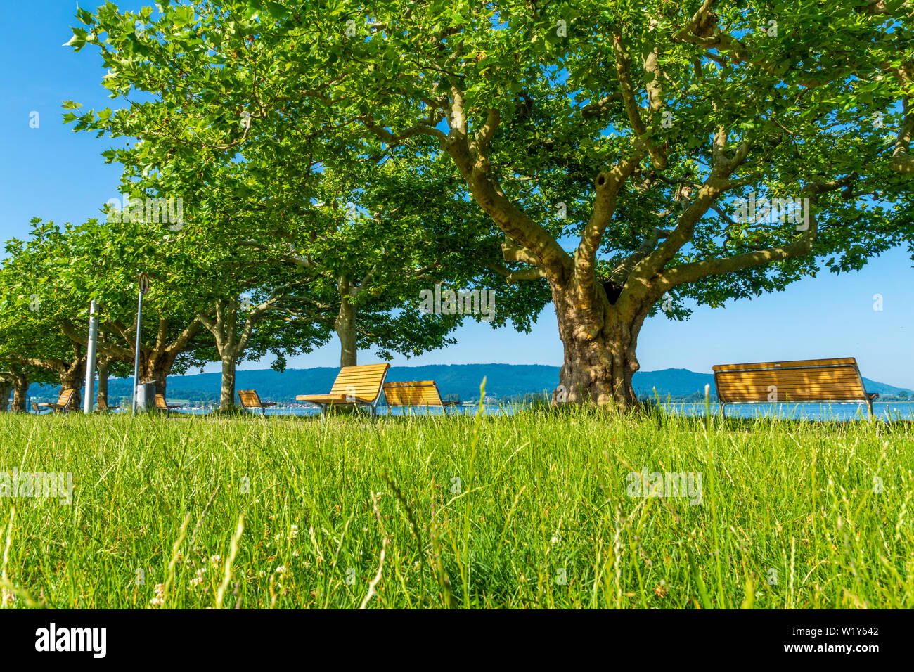 Holidays Spring on the beautiful Lake Constance with blue sky Stock ...