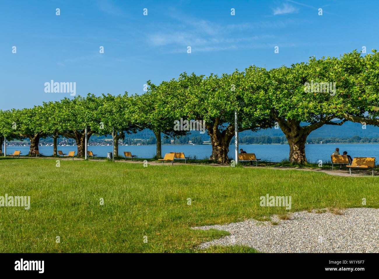 Holidays Spring on the beautiful Lake Constance with blue sky Stock ...