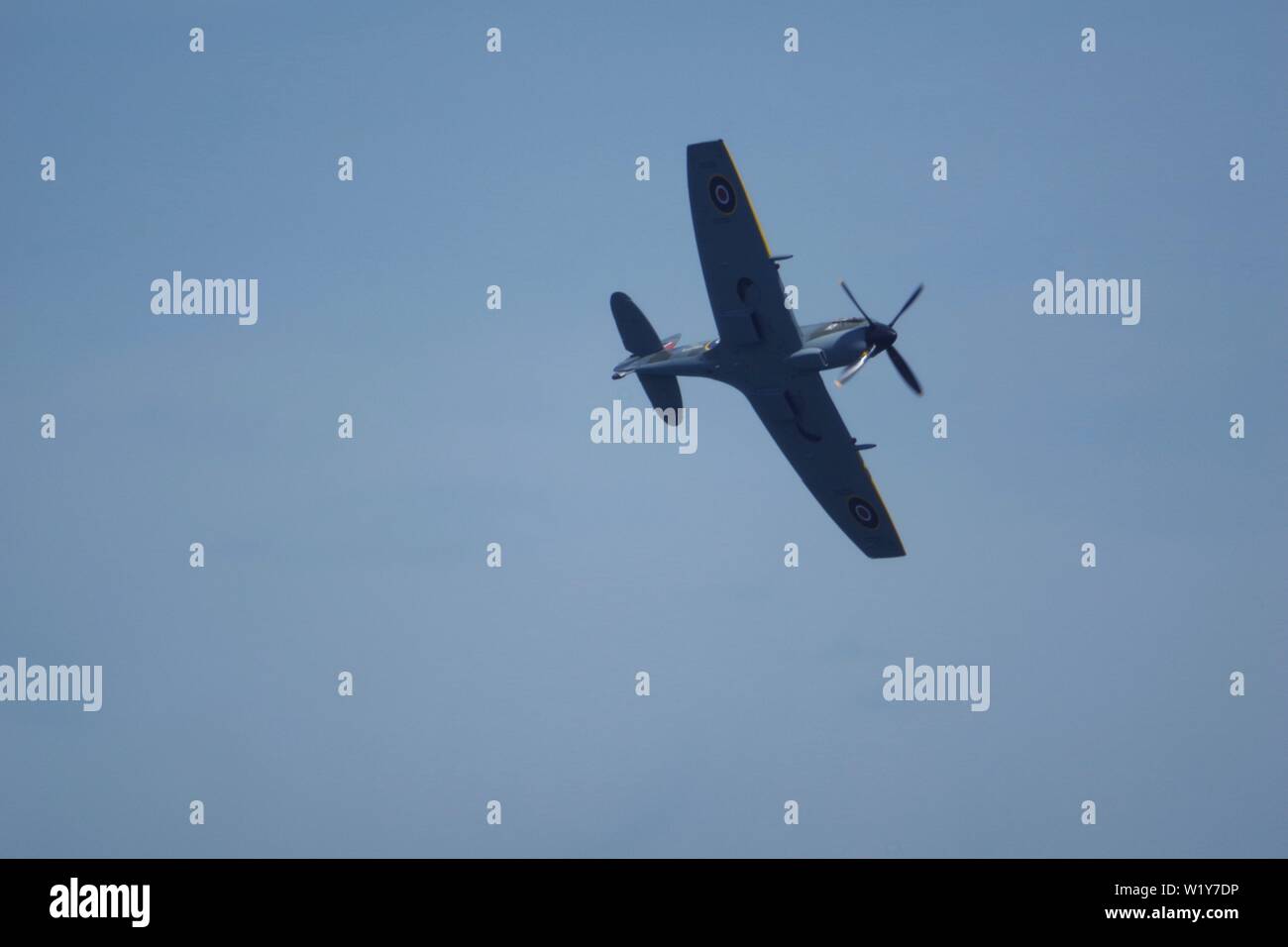 Clipped Wing Spitfire High Resolution Stock Photography and Images - Alamy