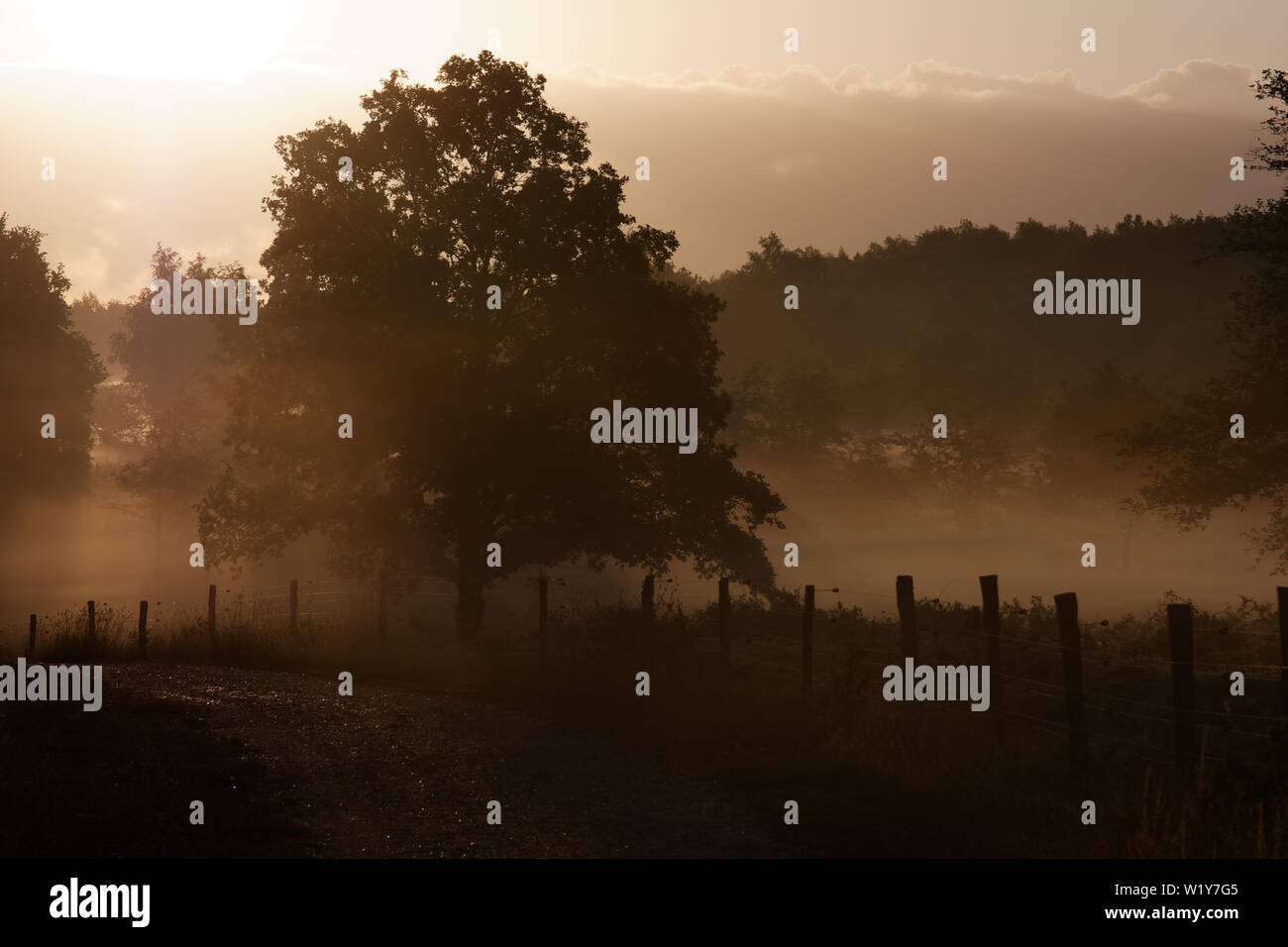 Good morning nature hi-res stock photography and images - Alamy