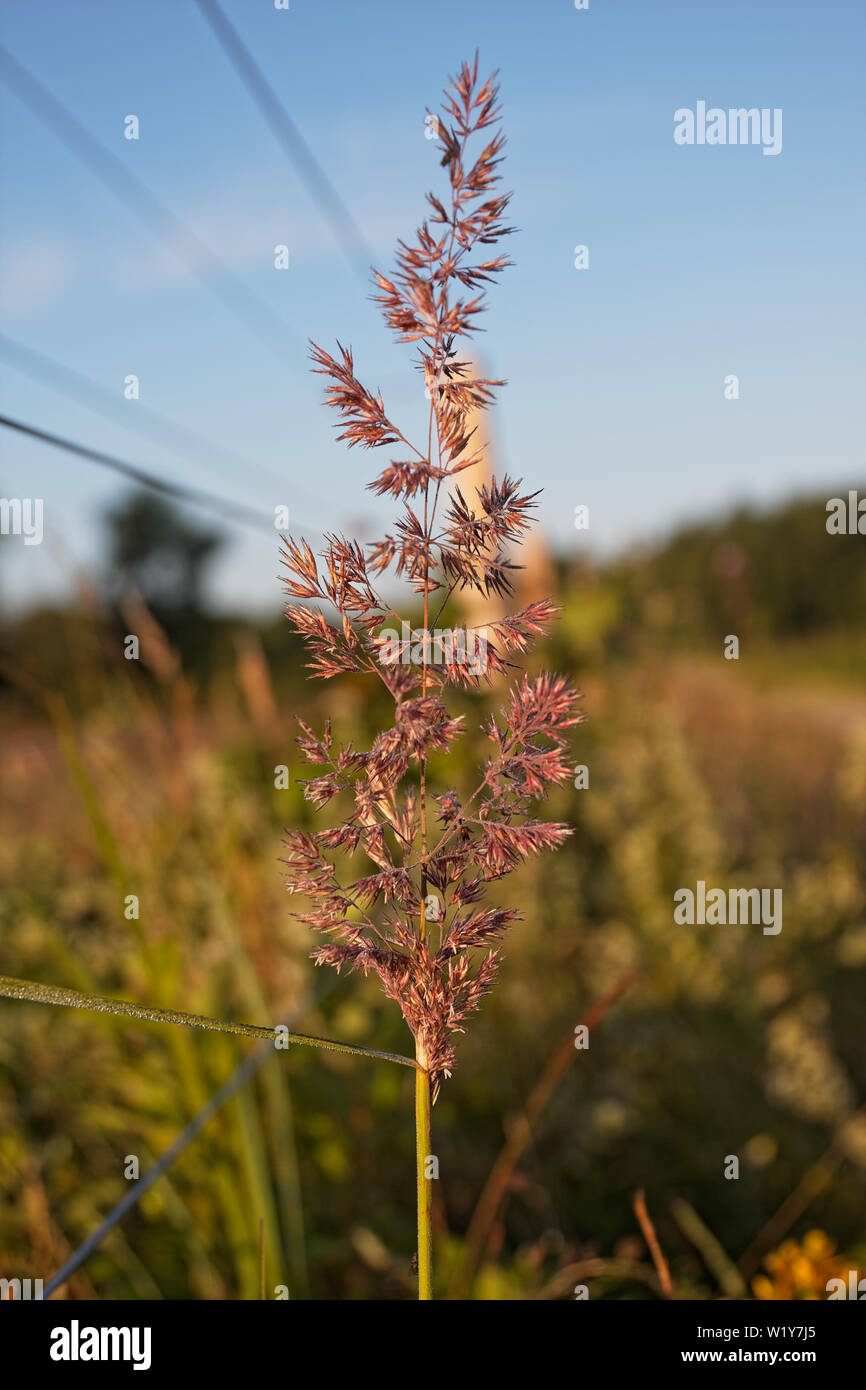 Morning colors hi-res stock photography and images - Alamy