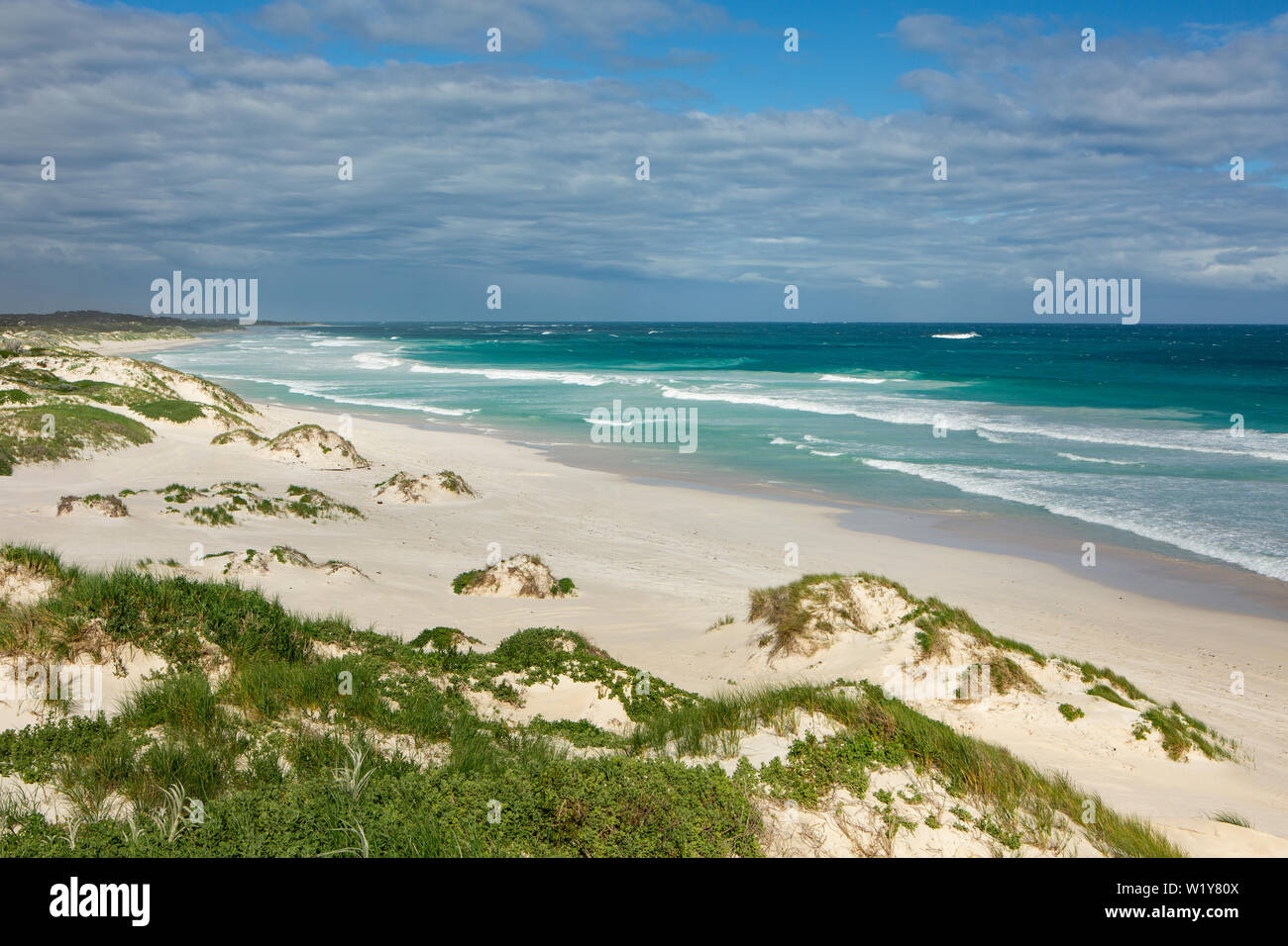 wide angle view of a white sandy beach with high dunes in Western ...
