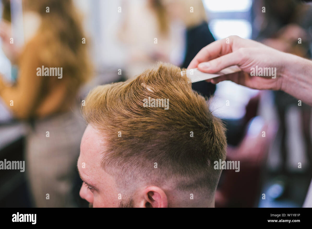 Barber Making Haircut Bearded Man In Barbershop. Professional stylist ...