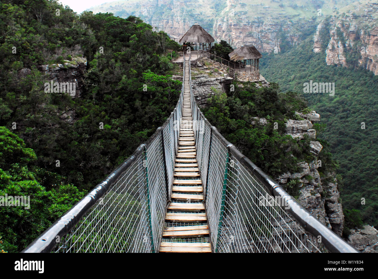 A foot bridge over the magnificent Oribi Gorge in a remote wilderness ...