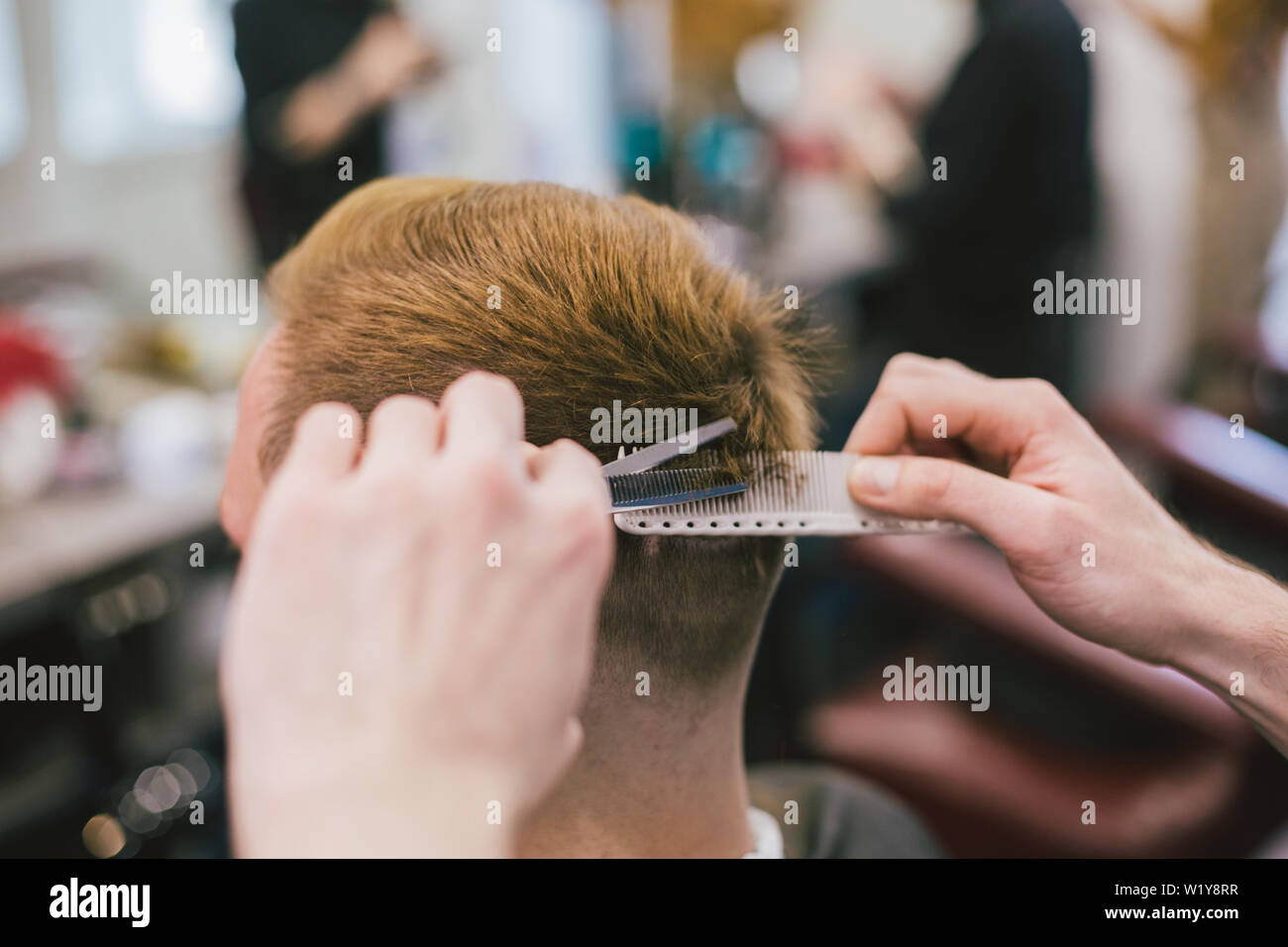 Barber Making Haircut Bearded Man In Barbershop. Professional stylist ...