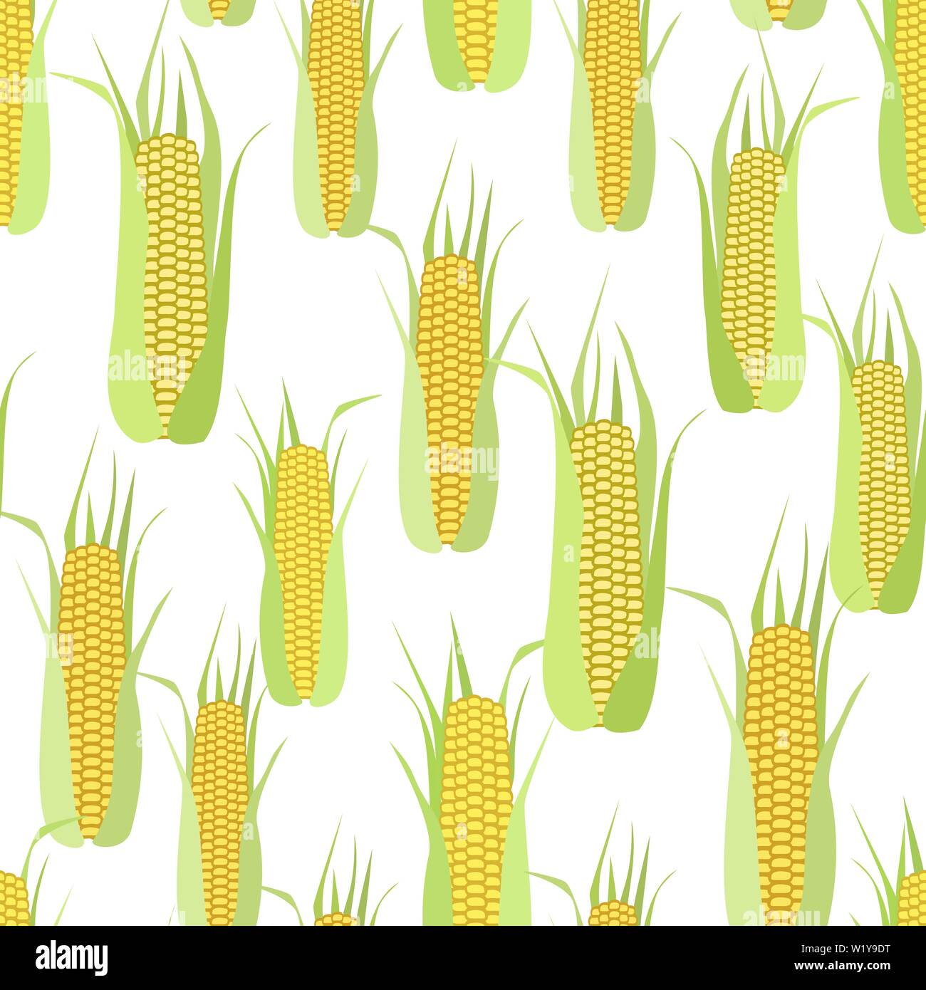 Seamless pattern of corn cobs on a white background. Summer, autumn ...