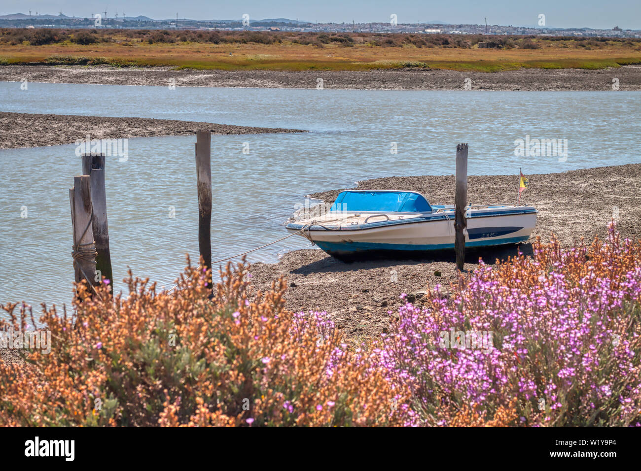 Concept stranded hi-res stock photography and images - Alamy