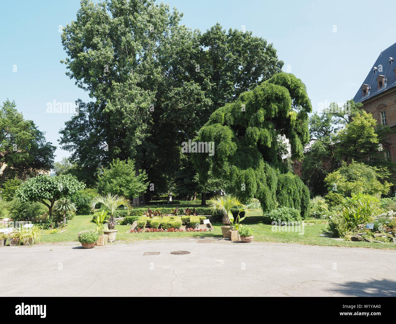 The Royal Botanical Gardens in Turin, Italy Stock Photo - Alamy
