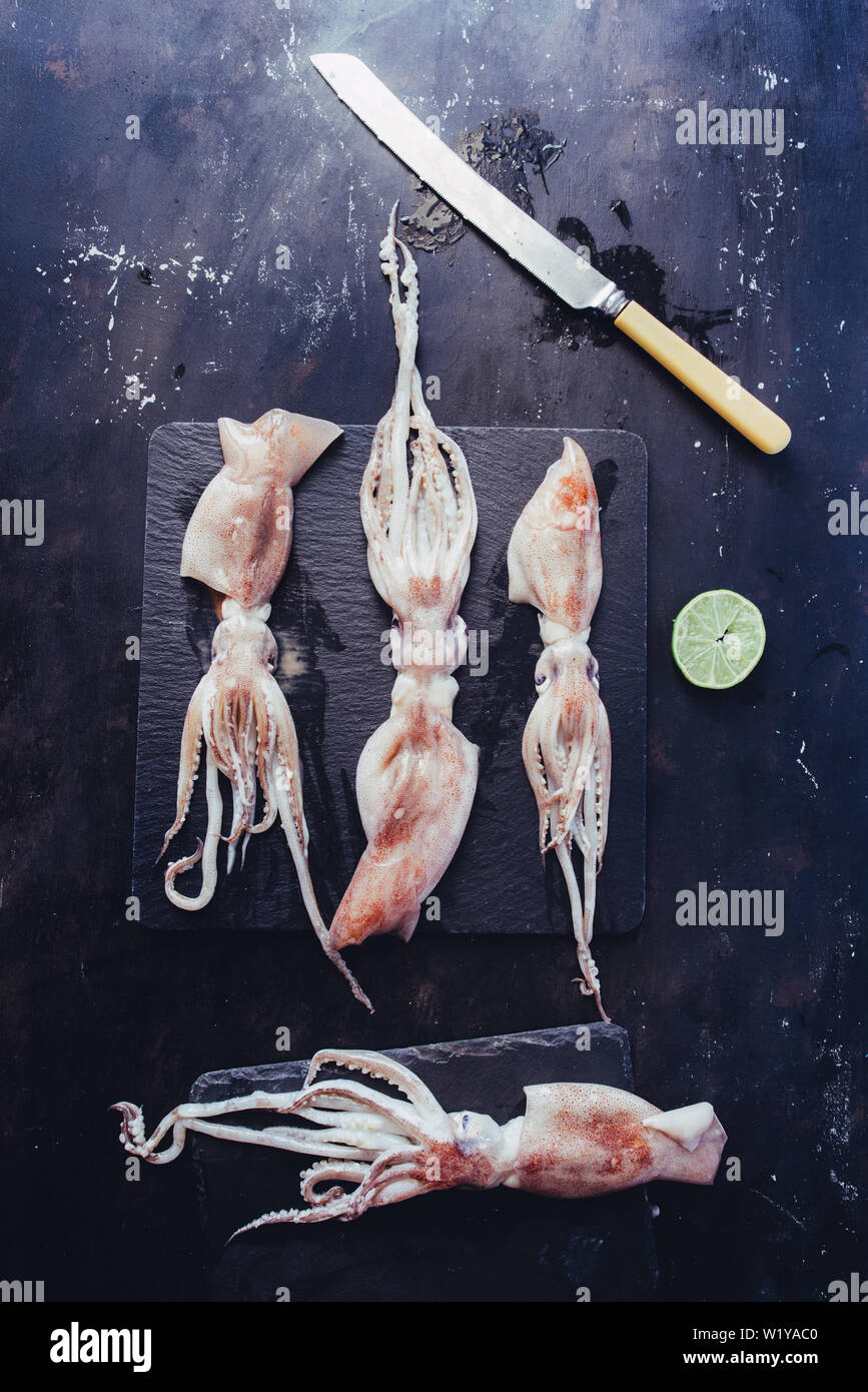 Calamari,Seafood Squid, on a black background,still life, top view with ...
