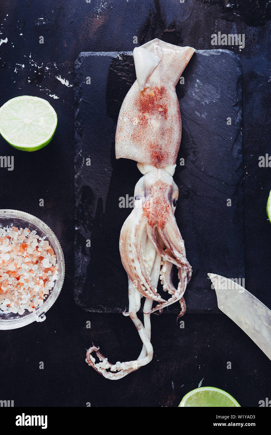 Calamari,Seafood Squid, on a black background,still life, top view with ...