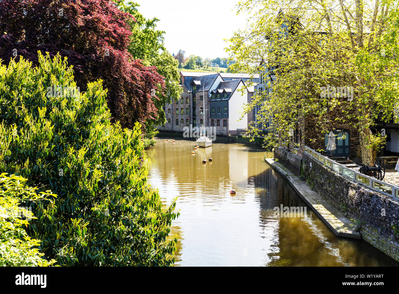River Dart Totnes Town Devon UK England, river Dart Totnes, Devon ...