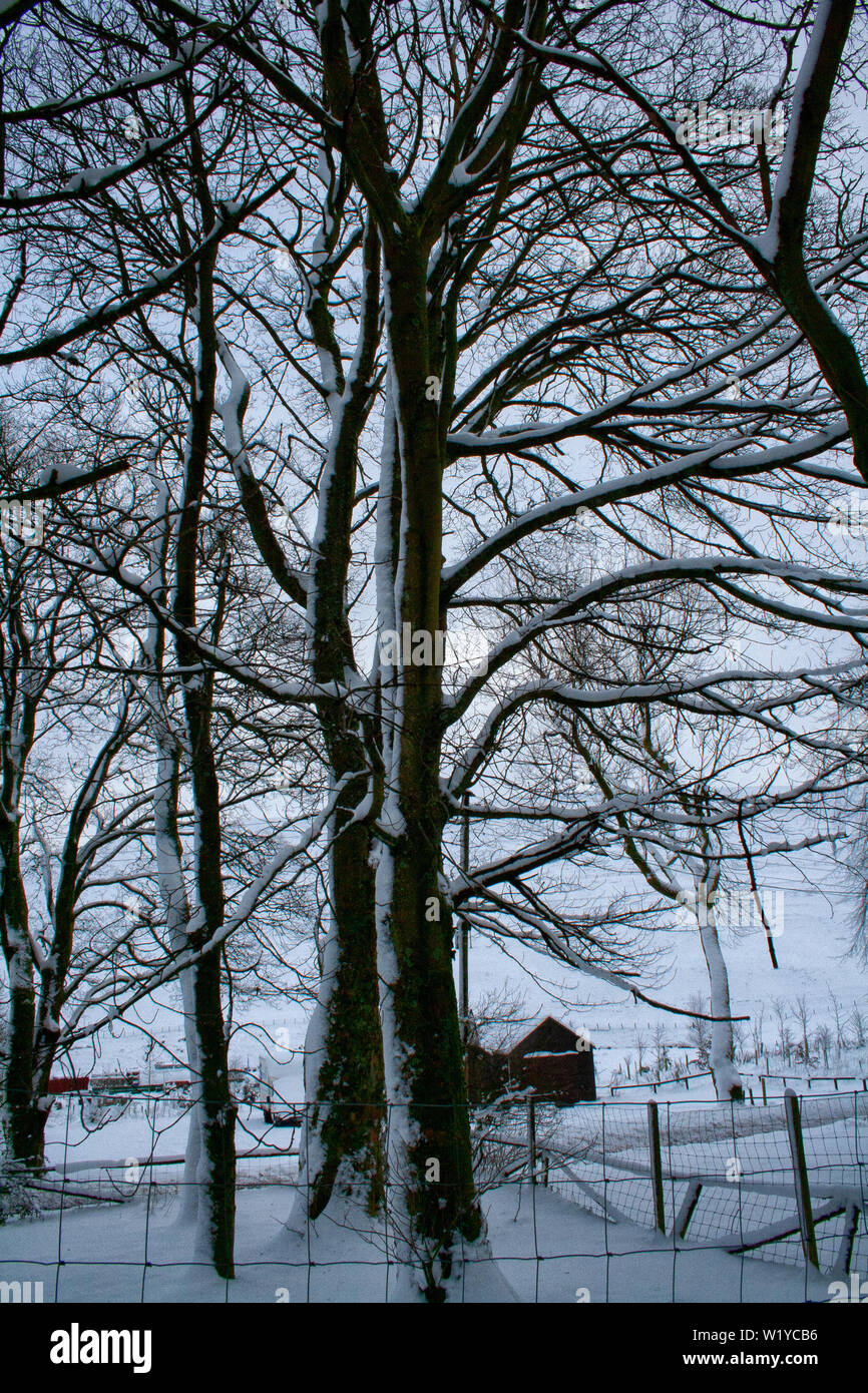 Leadhills hi-res stock photography and images - Alamy