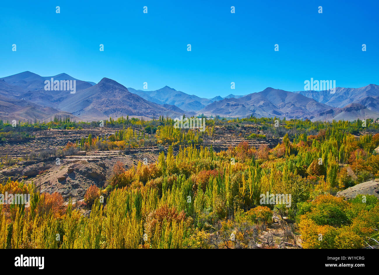 The green trees on the rocky soil of the valley in Karkas mountains ...