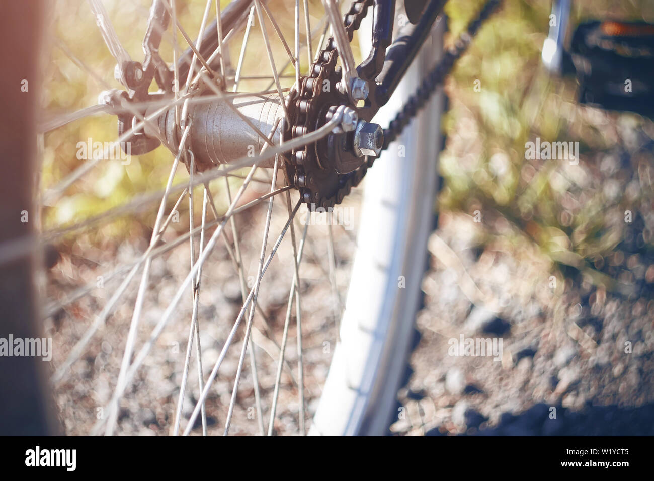 Single speed bicycle wheel hi-res stock photography and images - Alamy
