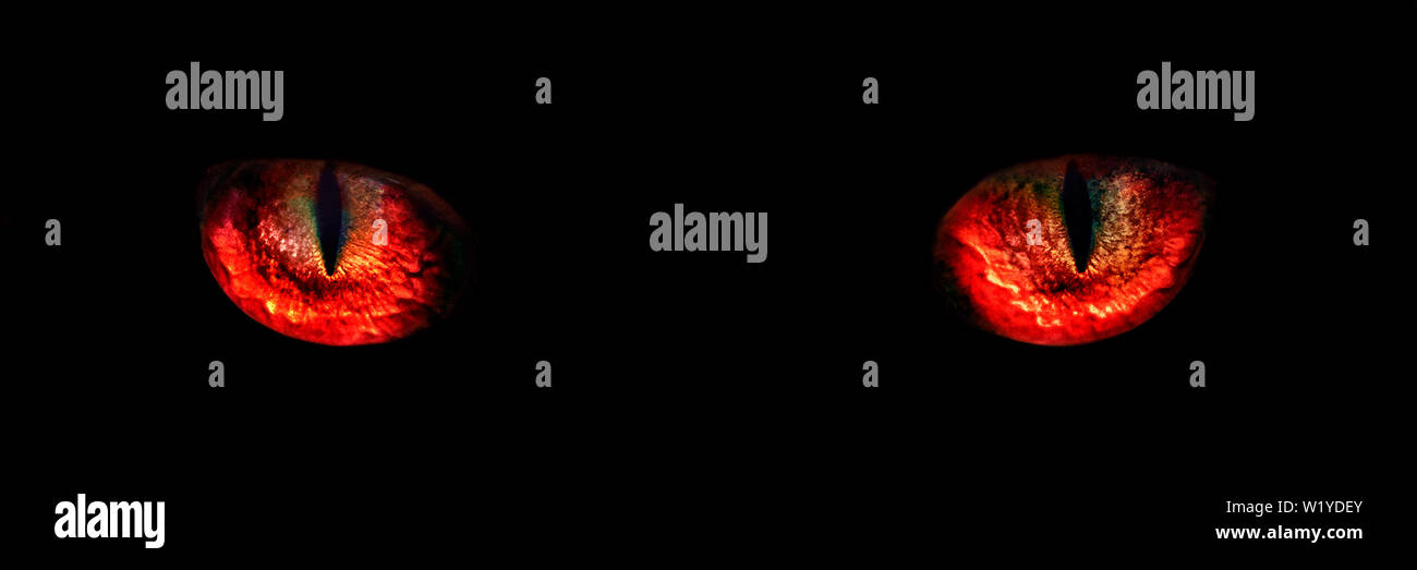 Black monster red eyes hi-res stock photography and images - Alamy