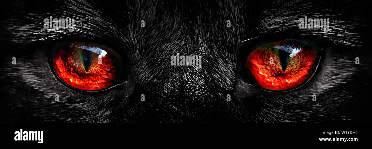 shaggy monster red eyes closeup Stock Photo - Alamy