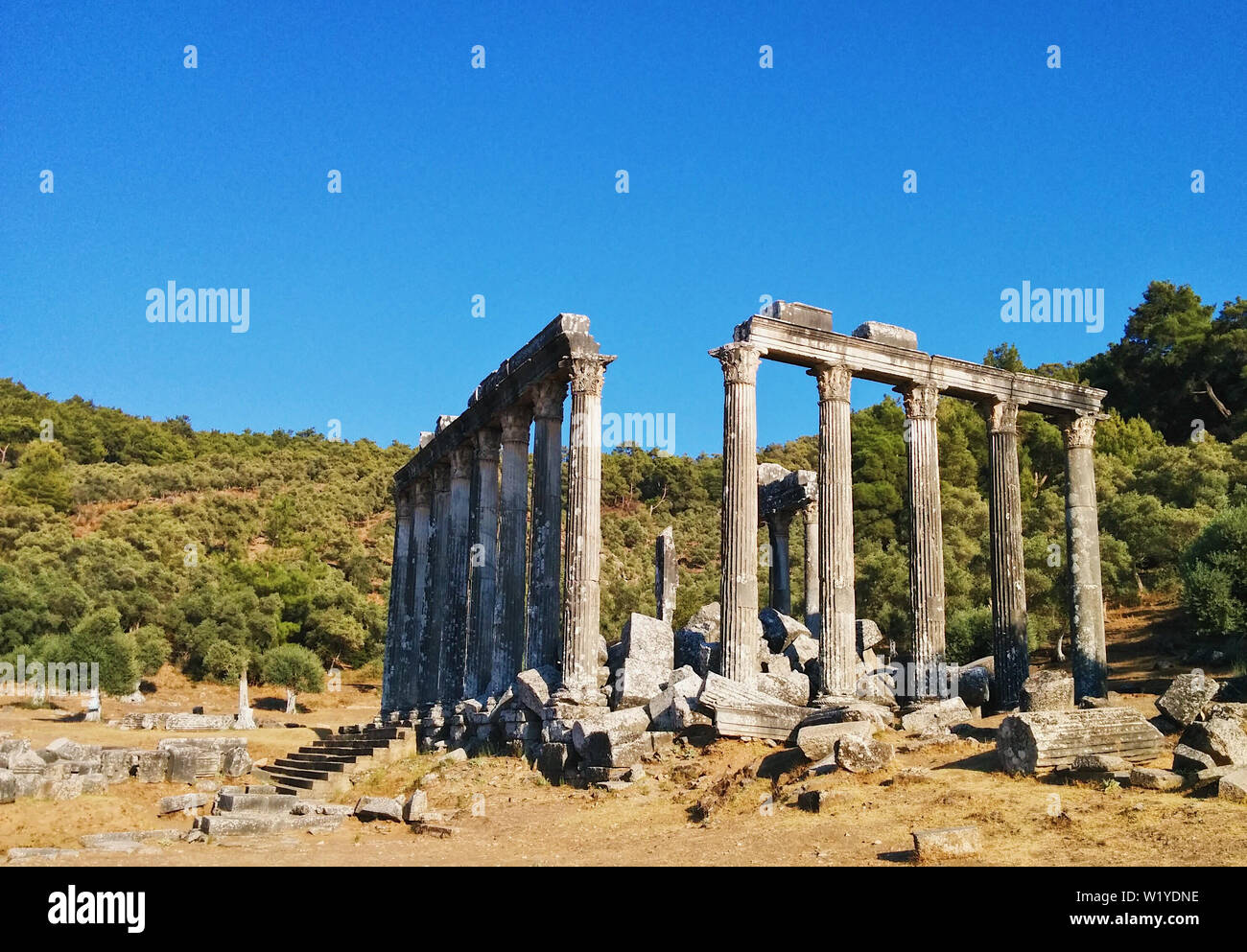 Ancient classic greek temple ruins in Mediterranean Stock Photo - Alamy