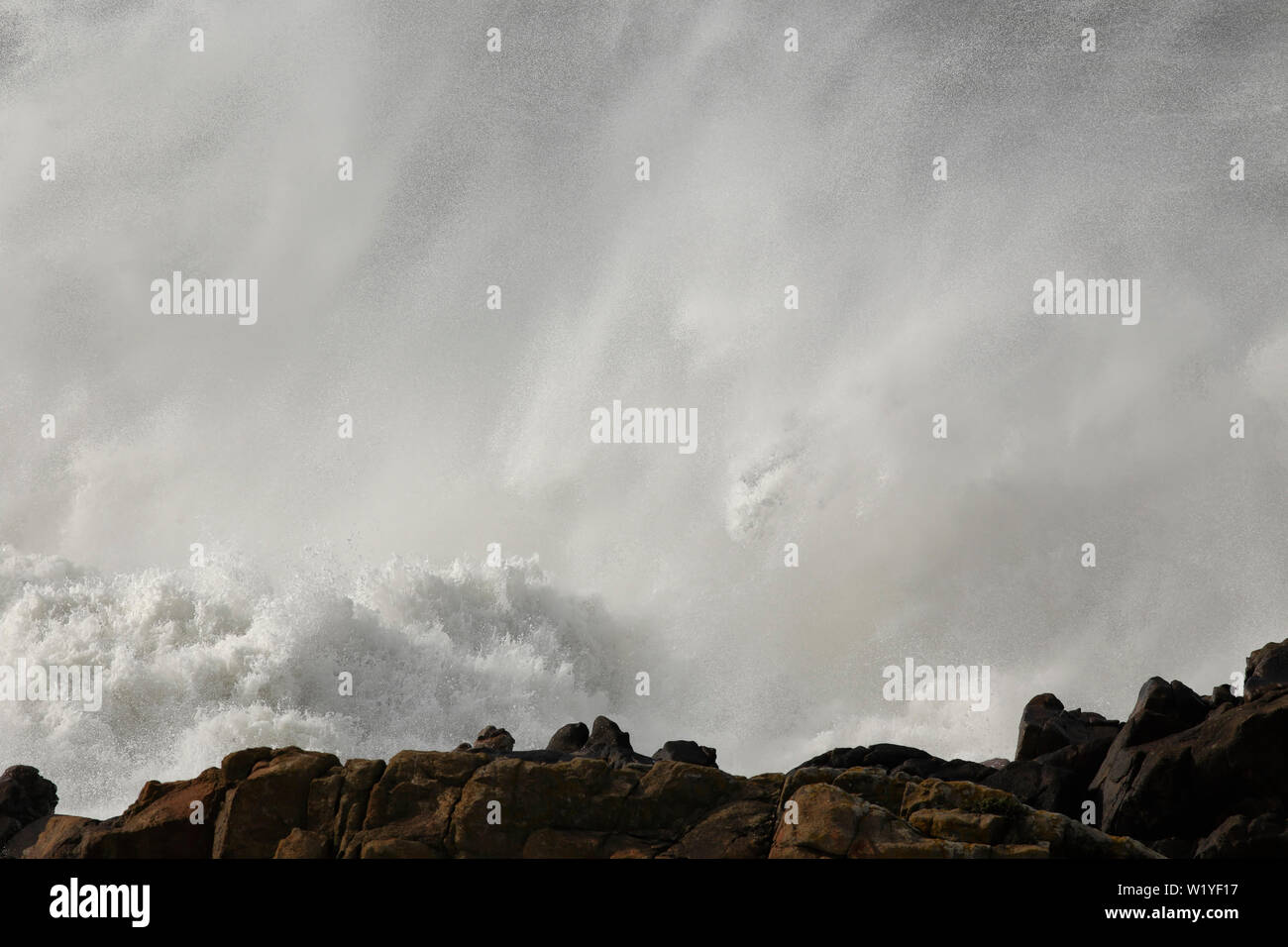 Big stormy white sea wave splash Stock Photo - Alamy