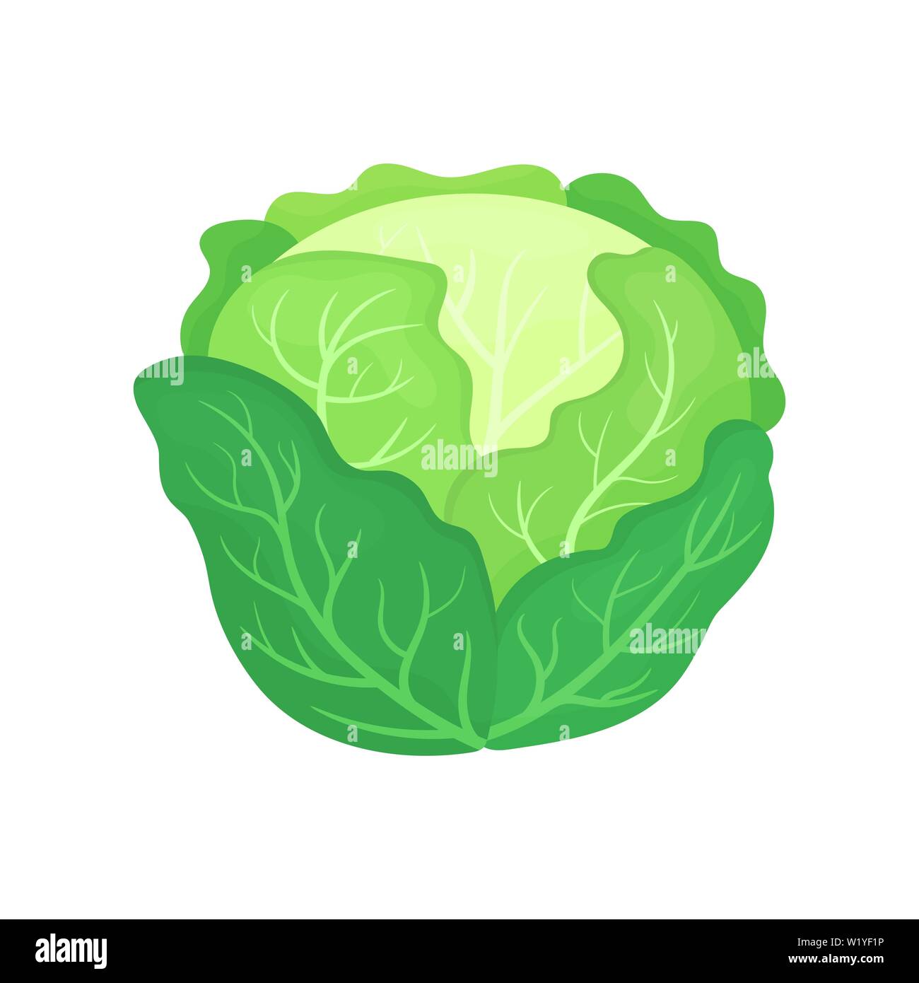 Cabbage cartoon hi-res stock photography and images - Alamy