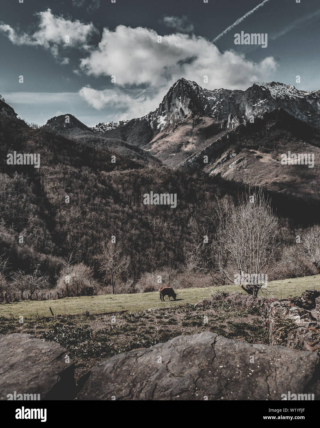 Mirador de les Bedules, peaks of Europe, natural park of Ponga ...