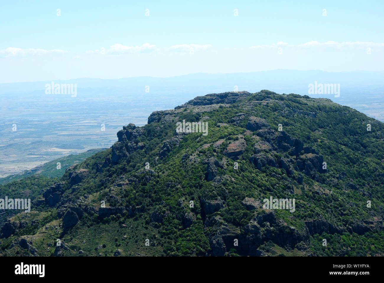 Monte arbus hi-res stock photography and images - Alamy