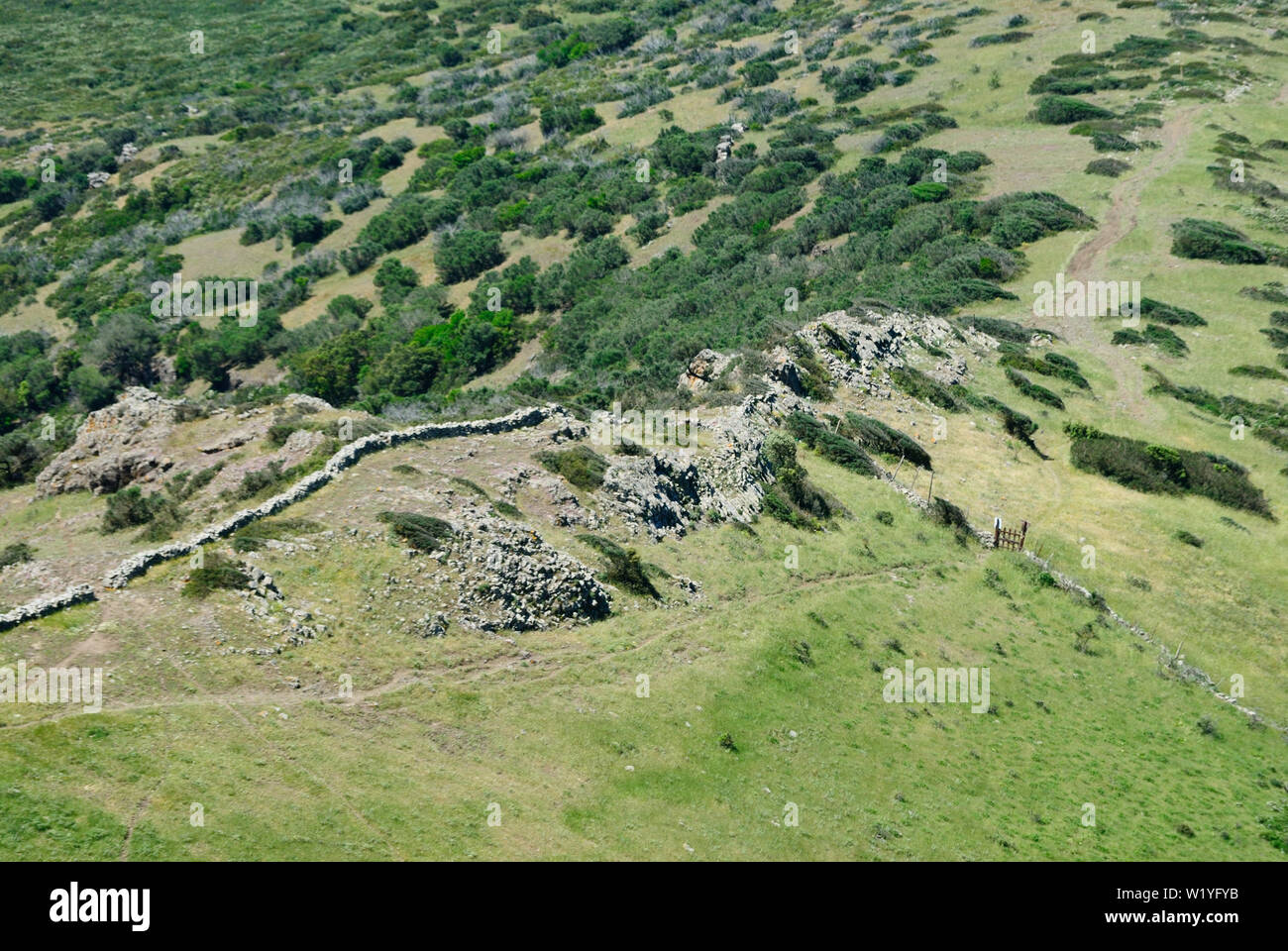 Monte arbus hi-res stock photography and images - Alamy