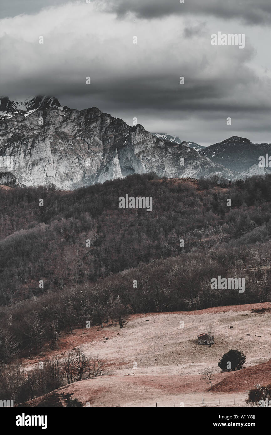 Ponga natural park asturias hi-res stock photography and images - Alamy