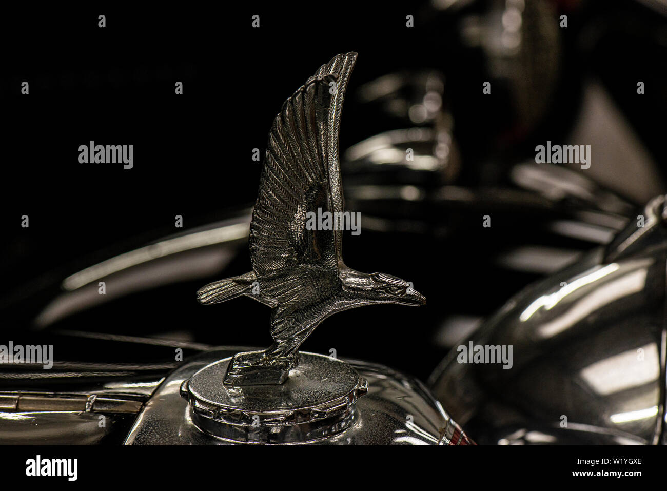 Alvis Silver Eagle car mascot mounted on the bonnet of an Alvis car ...