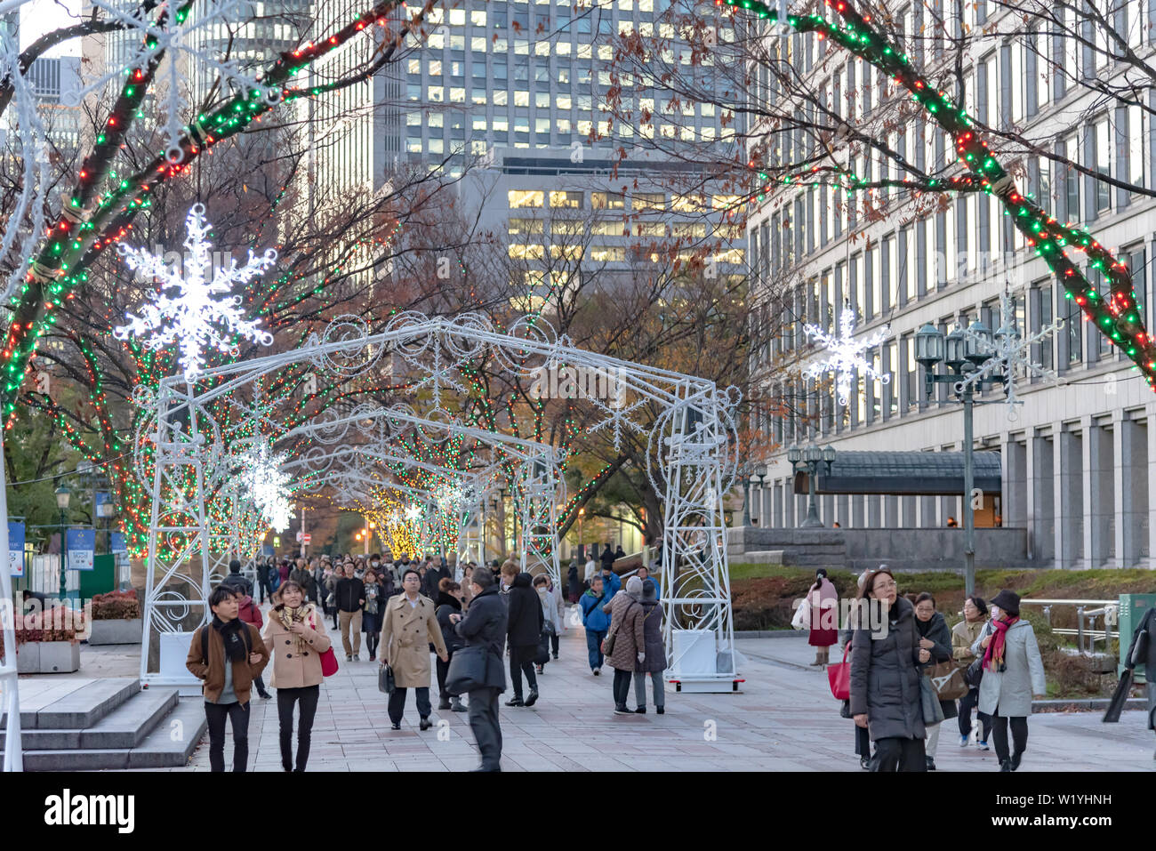 Festival of the Lights in Osaka. The winter illumination events ...