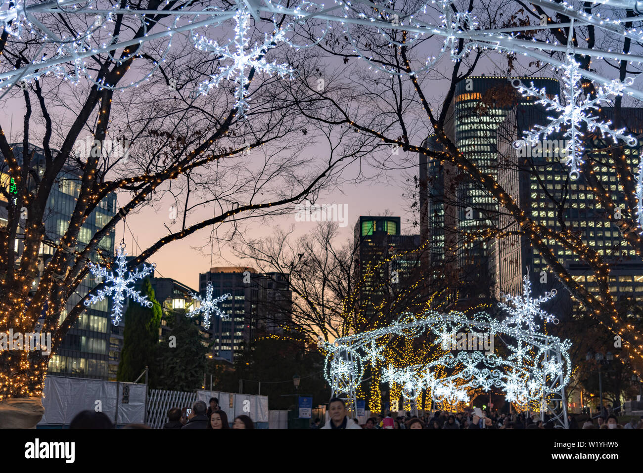 Festival of the Lights in Osaka. The winter illumination events ...