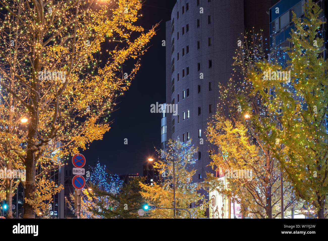 Festival of the Lights in Osaka. The winter illumination events ...