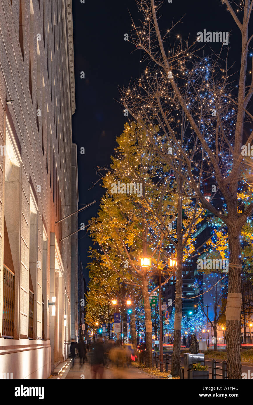 Festival of the Lights in Osaka. The winter illumination events ...