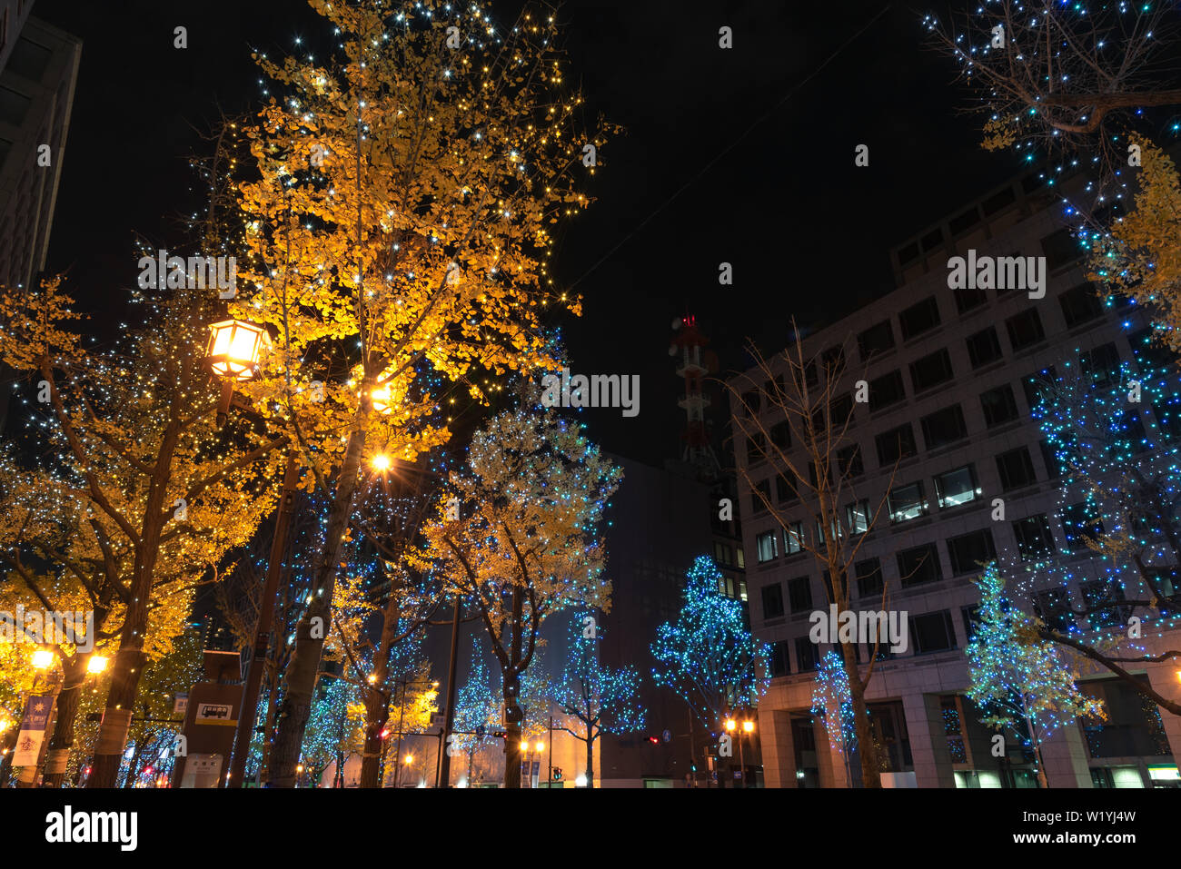 Festival of the Lights in Osaka. The winter illumination events ...