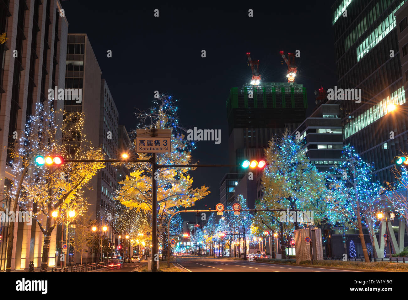 Festival of the Lights in Osaka. The winter illumination events ...